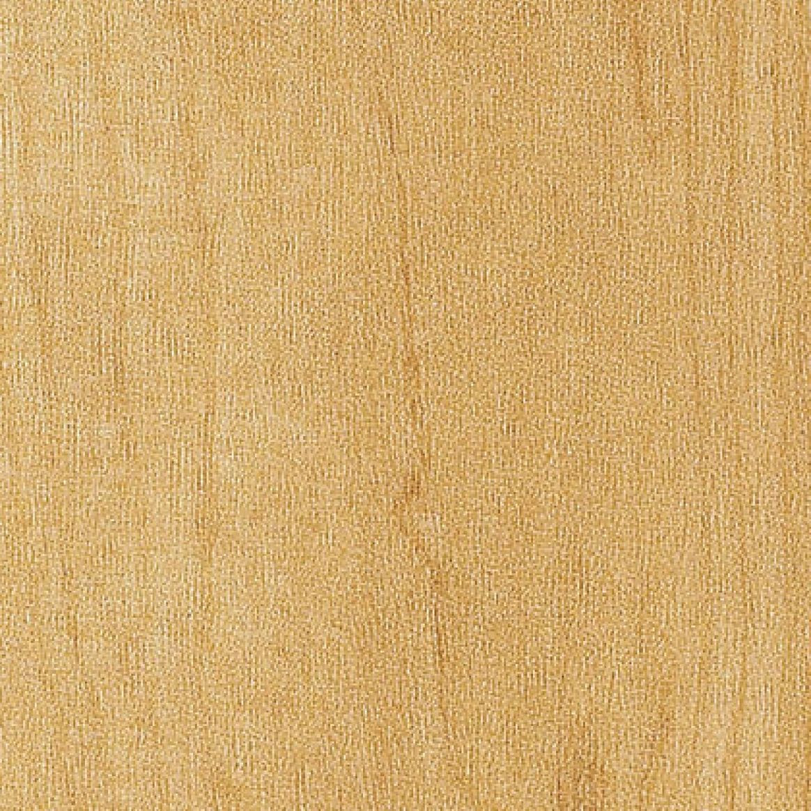 Mannington Spacia Wood Northern Maple Natural 20 Mil Glue Down LVT Premium