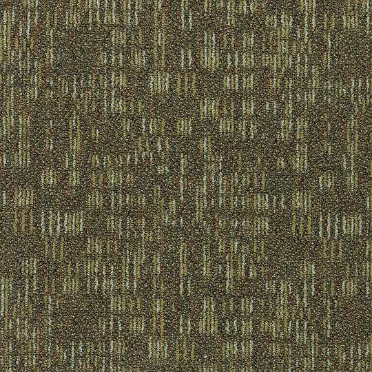 Shaw Focus Carpet Tile Restore 24" x 24" Premium(48 sq ft/ctn)