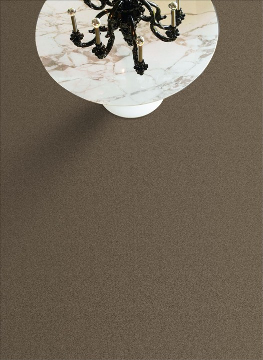 Shaw Gradient Tile Branch