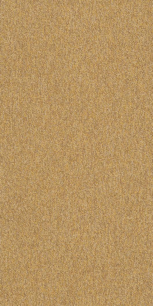 Shaw Multiplicity Carpet Tile Expansive 18" x 36" Premium(45 sq ft/ctn)