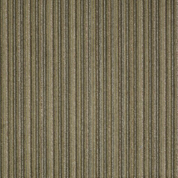Shaw Straight & Narrow Carpet Tile Strait-Laced 24" x 24" Premium(48 sq ...