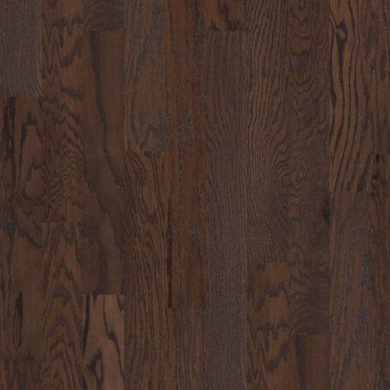 Shaw Albright Oak 3 1/4" x 3/8" Engineered Chocolate Builder