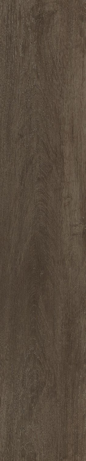 Shaw Inlet Brew 9" x 48" Glue Down LVT Premium (24.00 sq ft/ ctn)