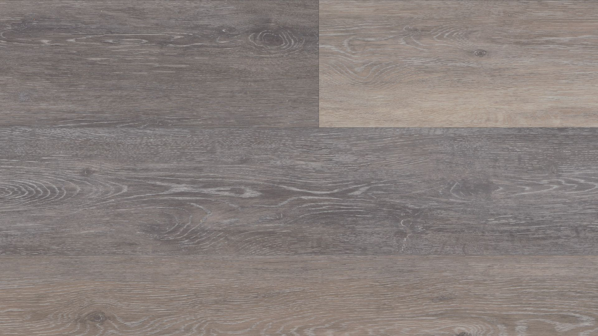US Floors COREtec PLUS 7" 7" x 48" Alabaster Oak Click-Lock LVT Premium ...