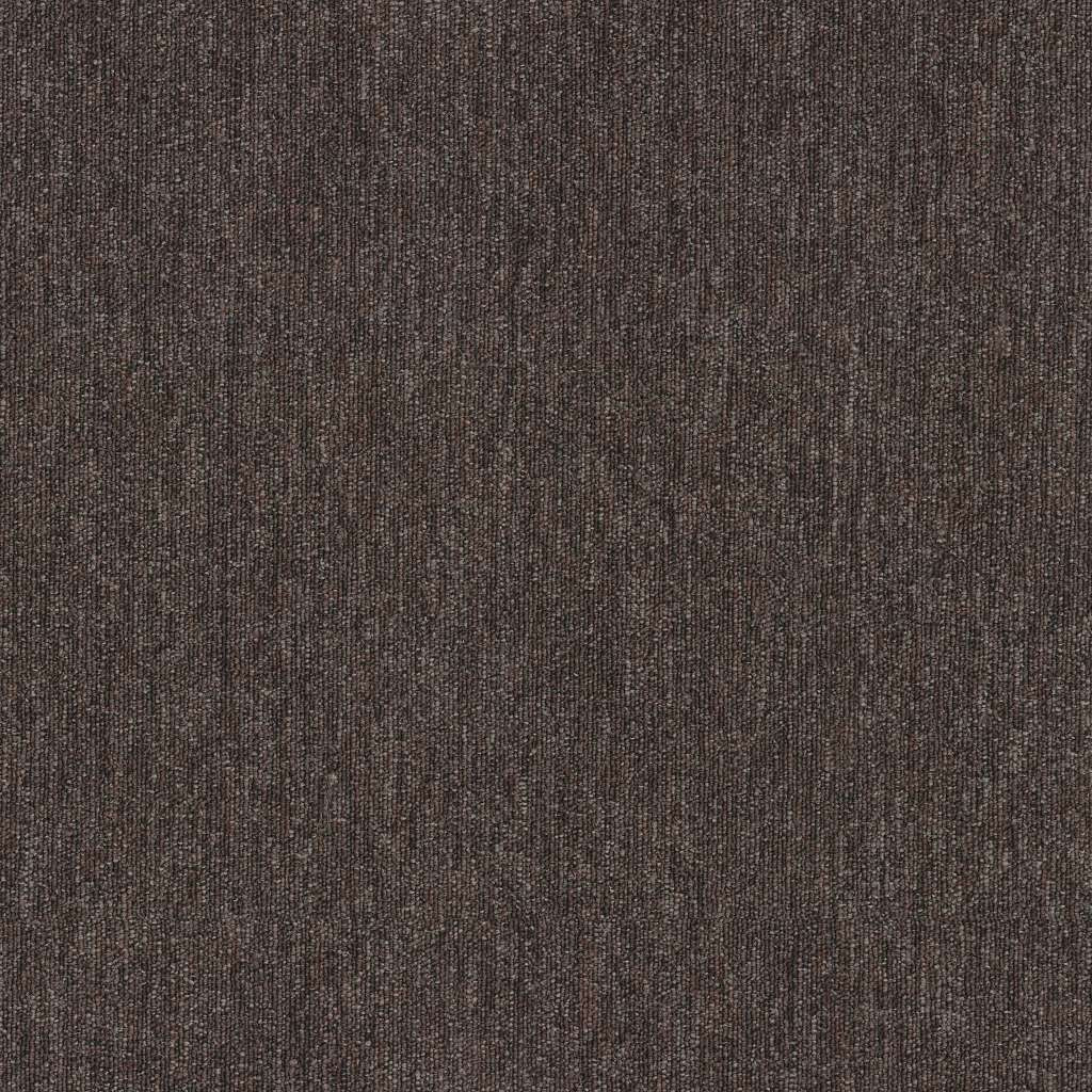 Shaw 5th & Main Beyond Limits Carpet Tile 24" x 24" Area Premium(80 sq ft/ctn)