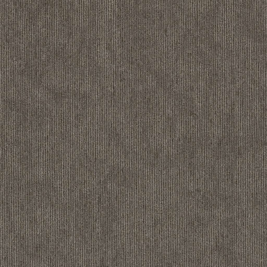 Shaw 5th & Main Contender Carpet Tile 24" x 24" Competitor Premium(80 sq ft/ctn)
