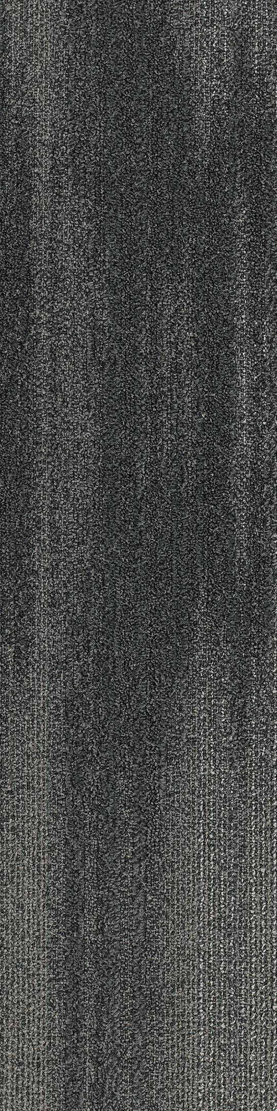 Shaw Shadowgraph Tile Backlit