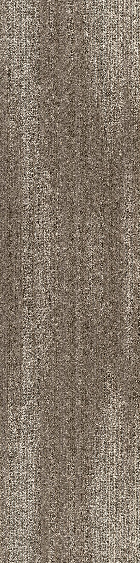 Shaw Shadowgraph Tile Bitmap