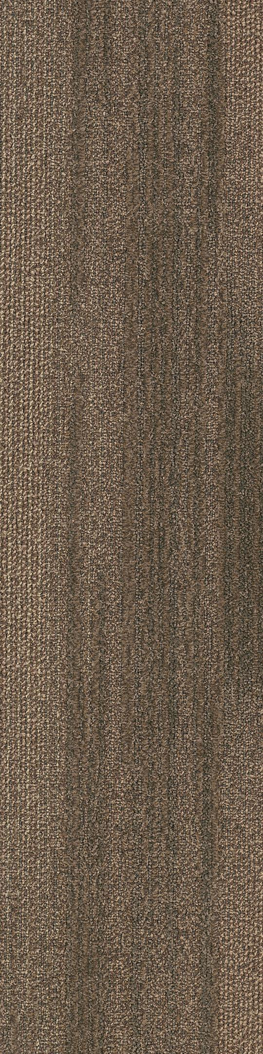 Shaw Shadowgraph Tile Focus