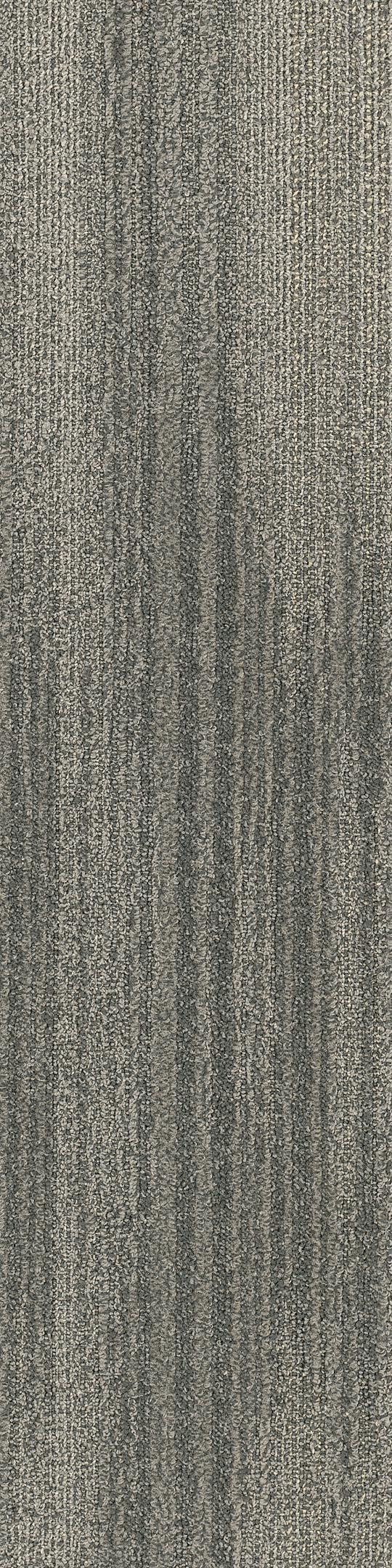 Shaw Shadowgraph Tile Time Lapse