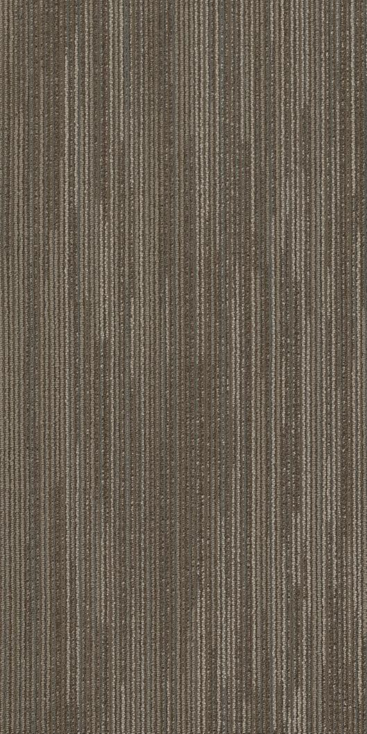 Shaw Analog Tile Expose