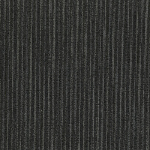 Shaw Contract Sentinel Tile Raven 24" x 24" Premium(48 sq ft/ctn)