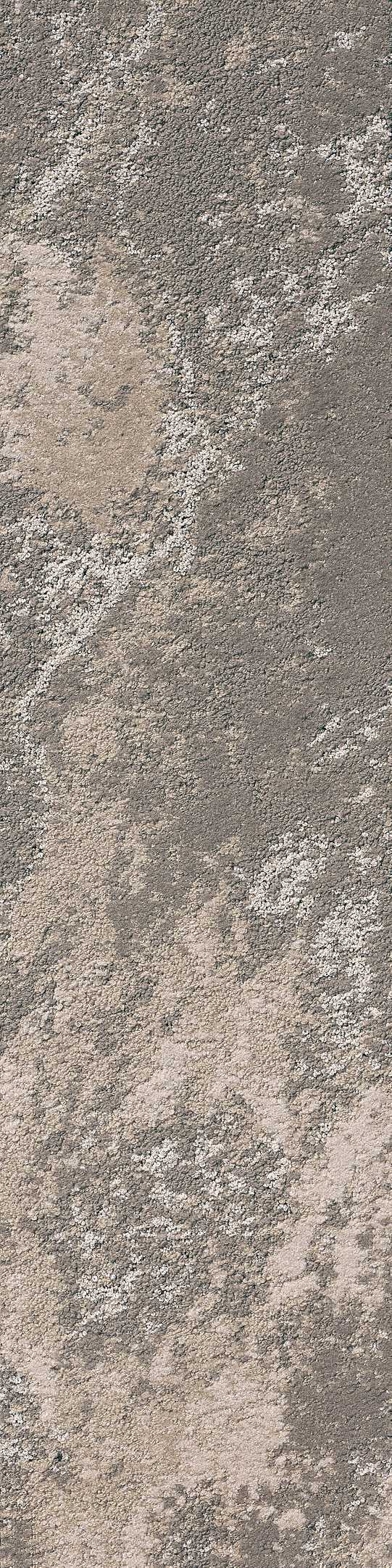 Shaw Beyond Carpet Tile Dune 12" x 48" Builder(48 sq ft/ctn)