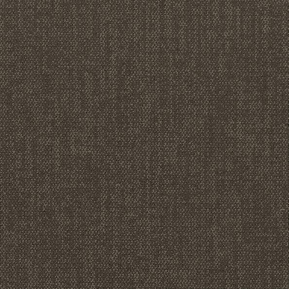 Shaw Color Frame Tile Paradox