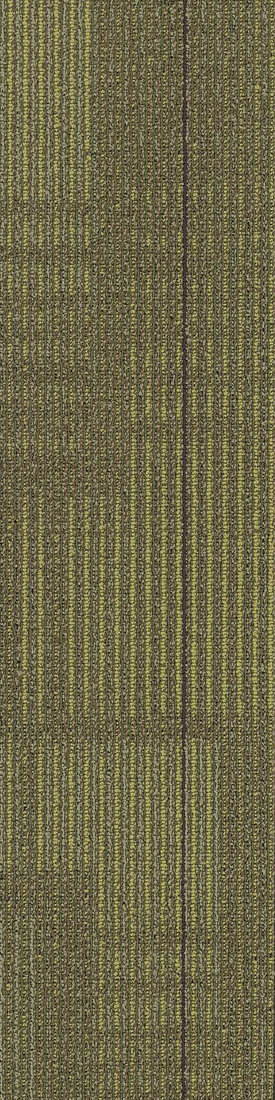 Shaw Diffuse Carpet Tile Formations 9" X 36" Builder(45 sq ft/ctn)