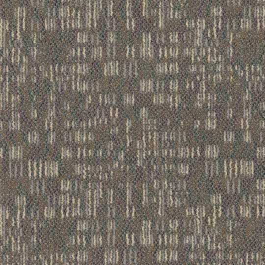 Shaw Focus Carpet Tile Solutions 24" x 24" Premium(48 sq ft/ctn)