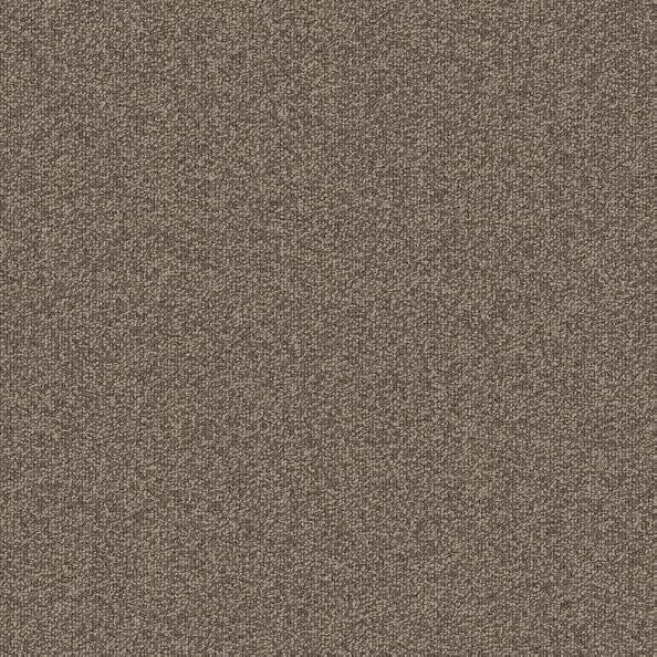 Shaw Gradient Tile Bird's Eye