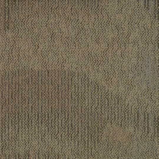 Shaw Kinetic Carpet Tile Cane 24" x 24" Builder(48 sq ft/ctn)