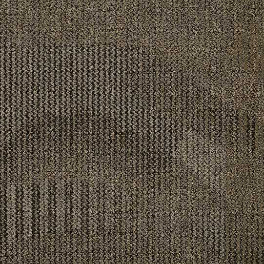 Shaw Kinetic Carpet Tile Metal Guru 24" x 24" Builder(48 sq ft/ctn)