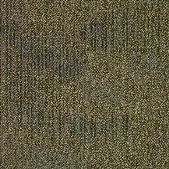 Shaw Kinetic Carpet Tile Pistachio 24" x 24" Builder(48 sq ft/ctn)
