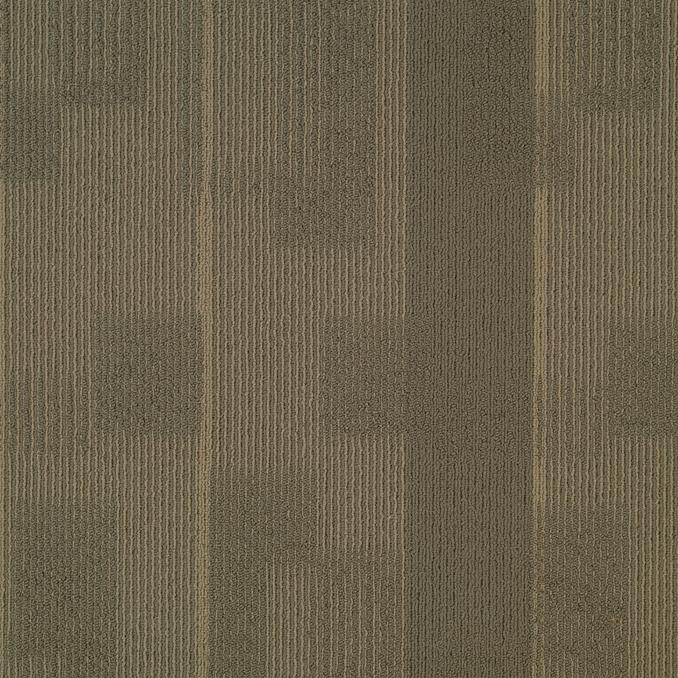 Shaw Modern Geometry Modular Carpet Tile Charisma 24" x 24" Premium(48 ...