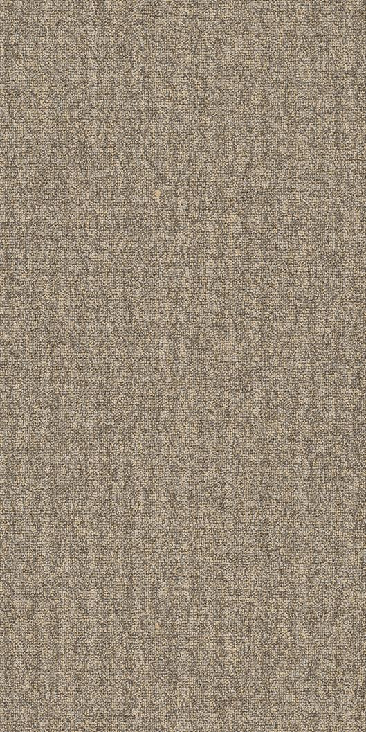 Shaw Multiplicity Carpet Tile Batch 18" x 36" Premium(45 sq ft/ctn)