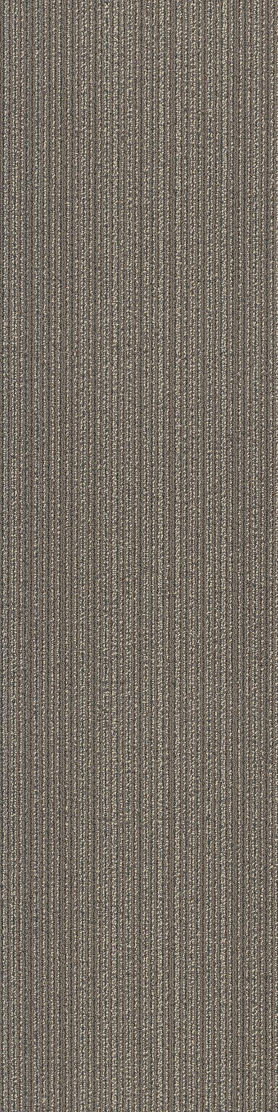 Shaw Pivot Point Carpet Tile Luscious 12" x 48" Builder(48 sq ft/ctn)