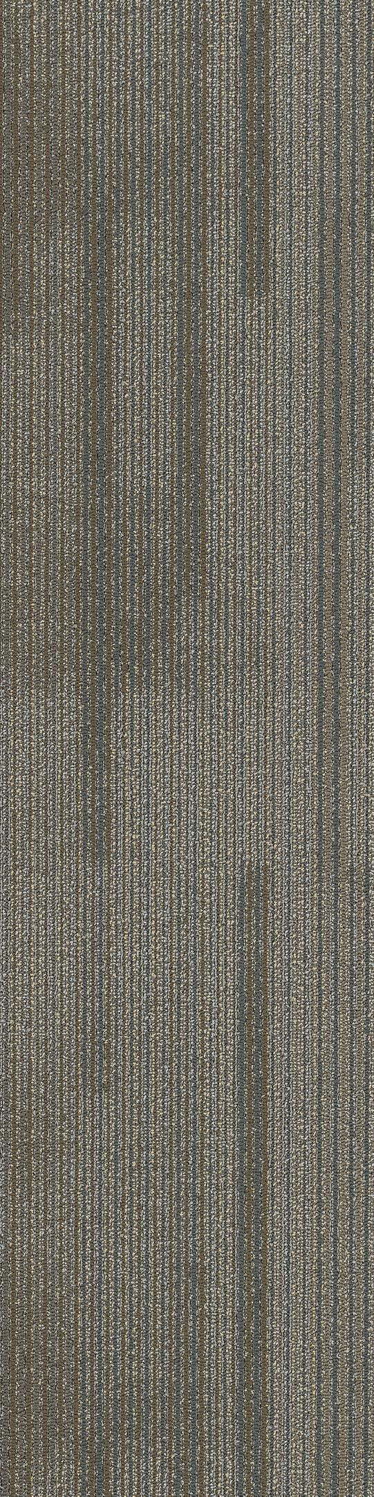 Shaw Pivot Point Carpet Tile Marble Moire 12" x 48" Builder(48 sq ft/ctn)