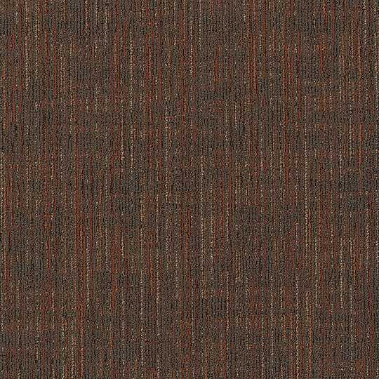 Shaw Sculpt Loop Carpet Tile Brazen 24" x 24" Builder(48 sq ft/ctn)