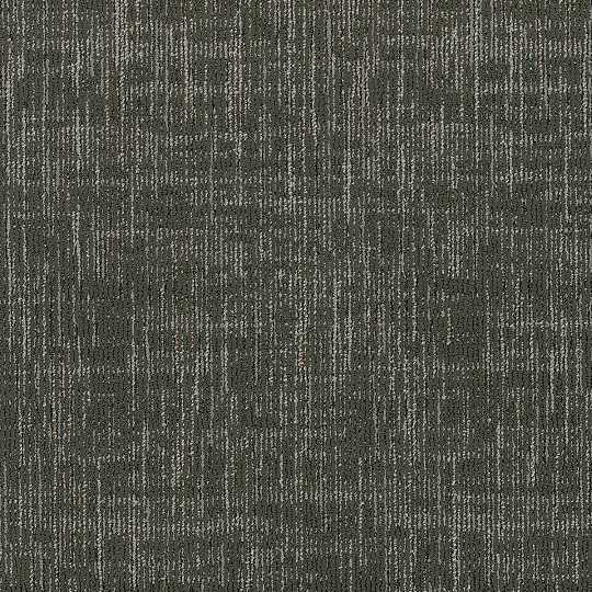 Shaw Sculpt Loop Carpet Tile Carbon 24" x 24" Builder(48 sq ft/ctn)