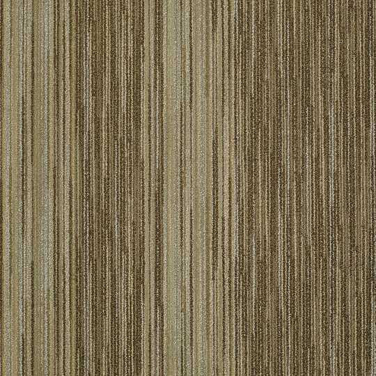 Shaw Trace Carpet Tile Suede 24" x 24" Builder(48 sq ft/ctn)