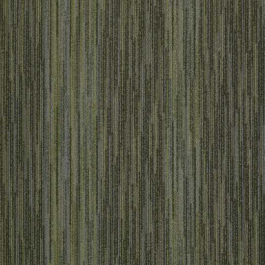 Shaw Trace Carpet Tile Swept 24" x 24" Builder(48 sq ft/ctn)