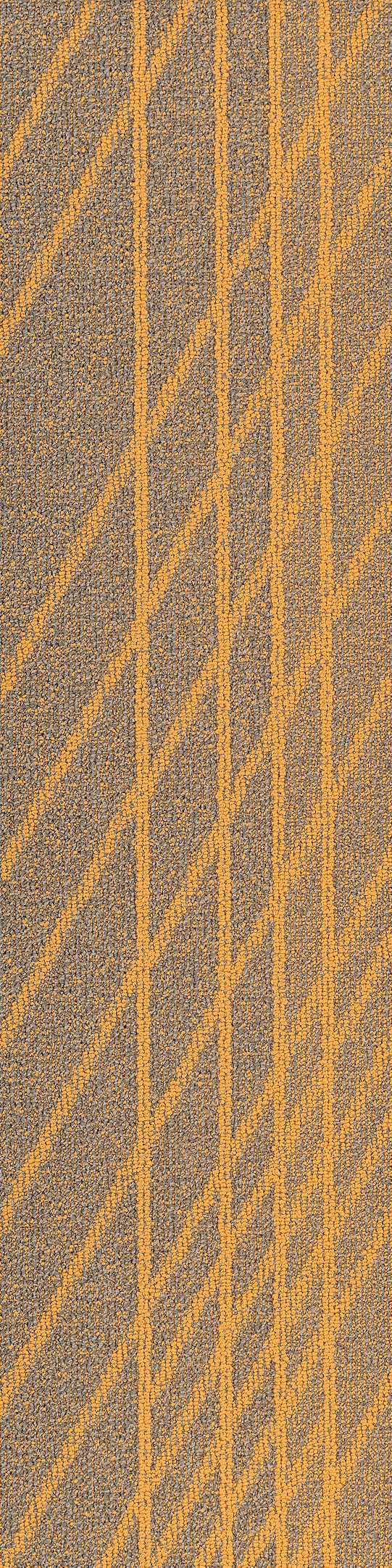 Shaw Track Carpet Tile Perform 12" x 48" Builder(48 sq ft/ctn)