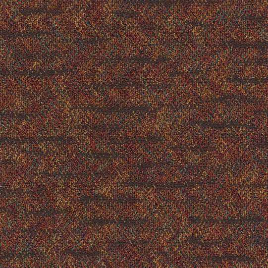 Shaw Unity Carpet Tile Primitive Earth 24" x 24" Premium(48 sq ft/ctn)