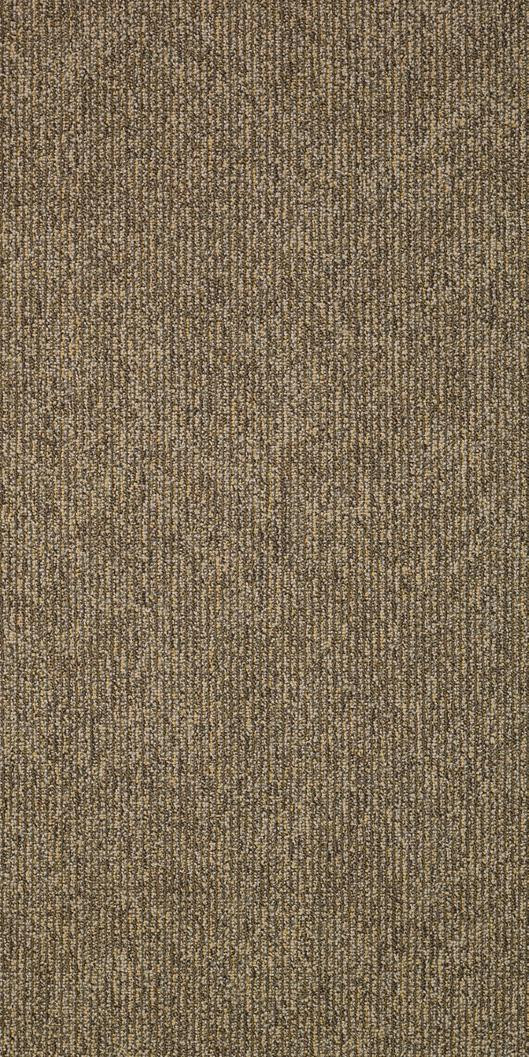 Shaw Urban Geometry Carpet Tile Multiform 18" x 36" Builder(45 sq ft/ctn)