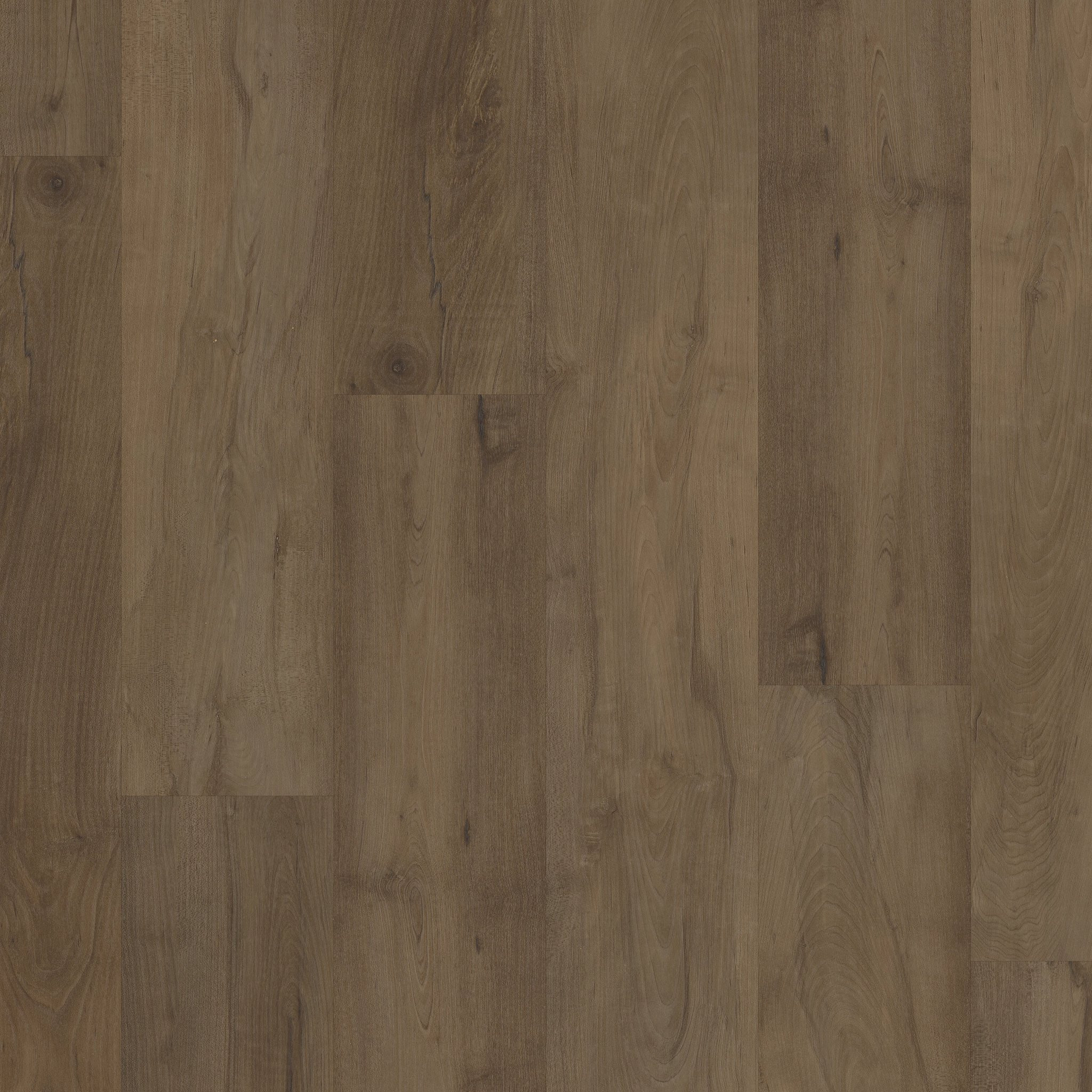 COREtec Pro Premium 7" x 48" Stonehaven Maple Click-Lock LVT Premium ...